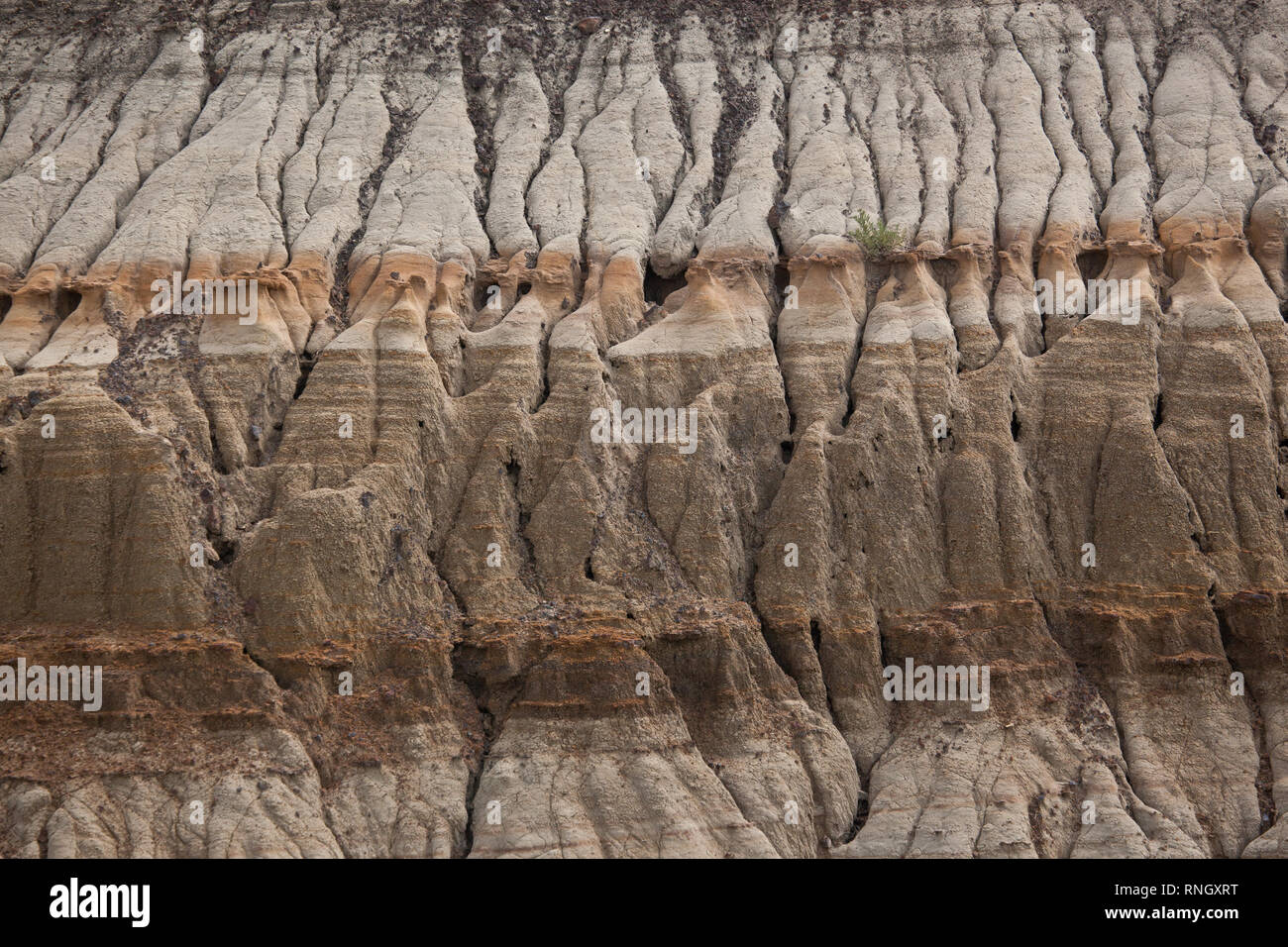 Drumheller, Starland County, Alberta, Canada Stock Photo - Alamy