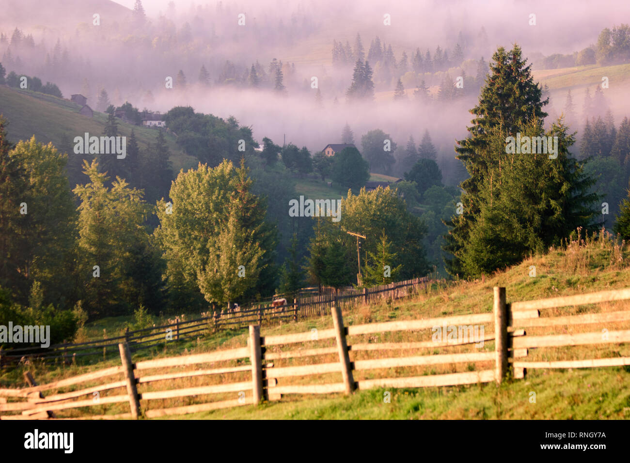 Scenic landscape of the countryside mountains. Green summer valley in ...