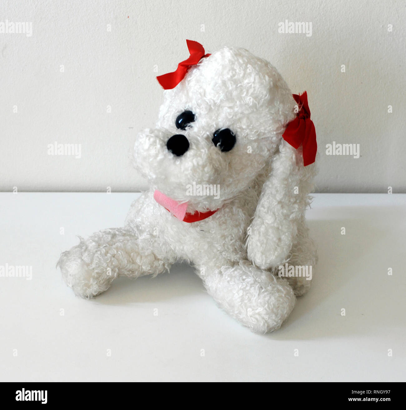 Vintage white stuffed toy animal dog Stock Photo - Alamy