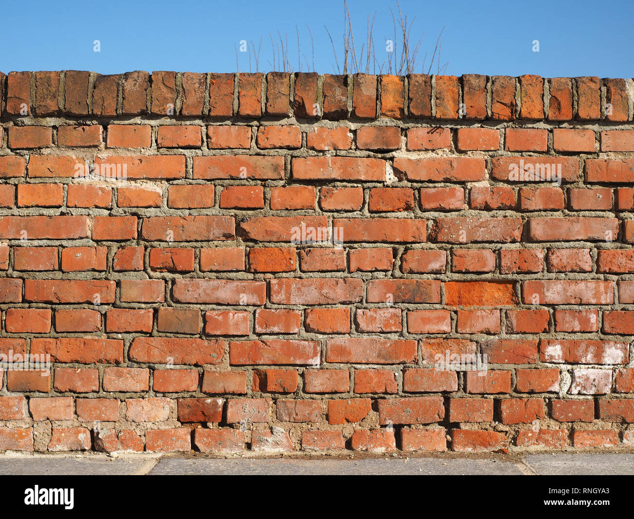 red brick wall useful as a background Stock Photo - Alamy
