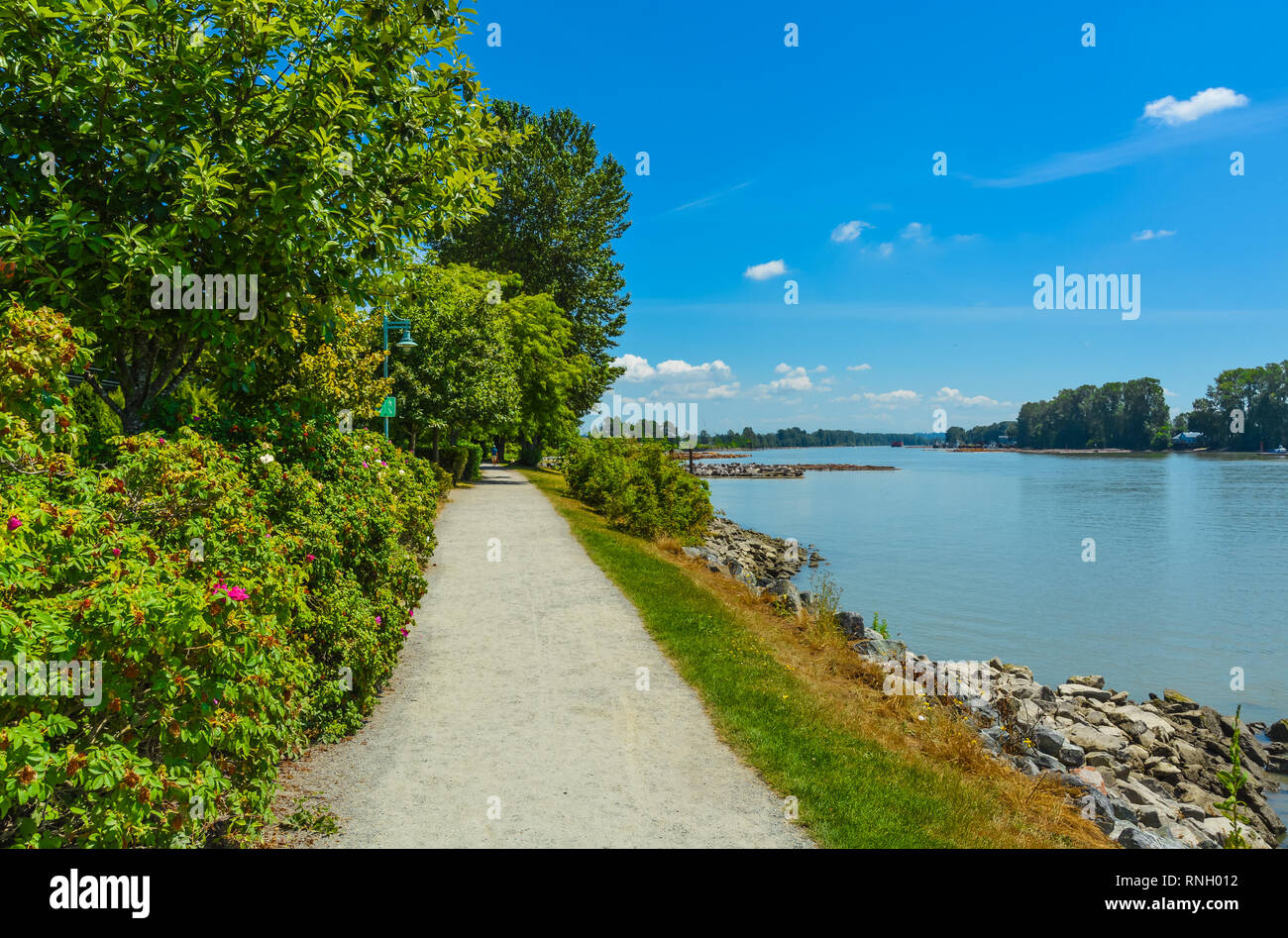 Walkway on river side close to the water of Fraser river in British ...