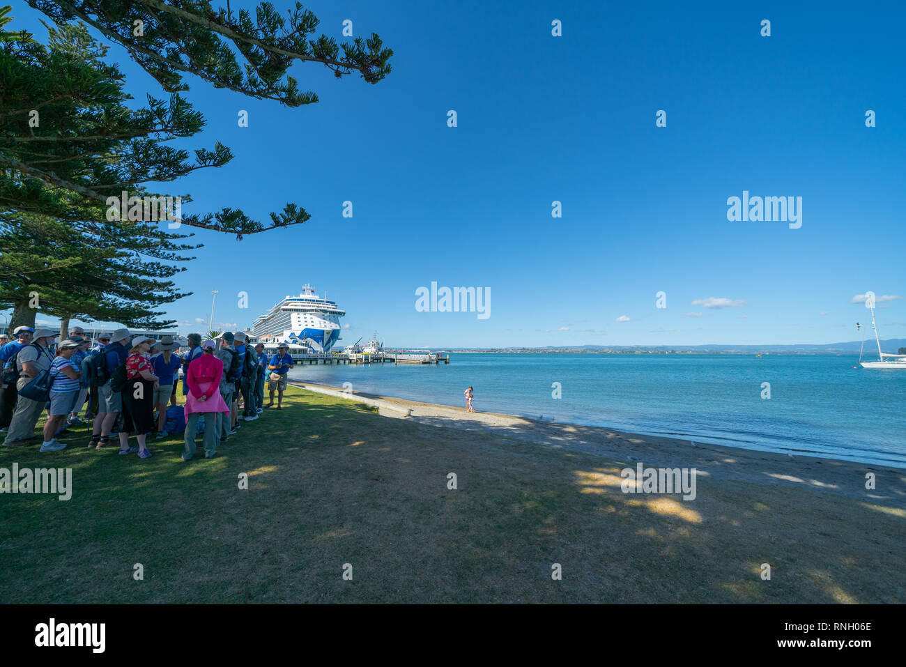 Princess bay new zealand hi-res stock photography and images - Alamy