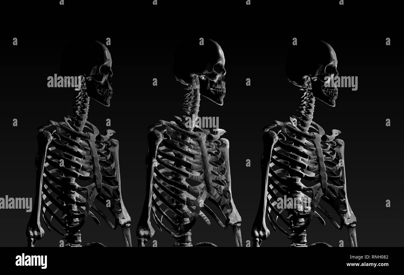 Low poly skeleton portrait side view in low key lighting fade away ...