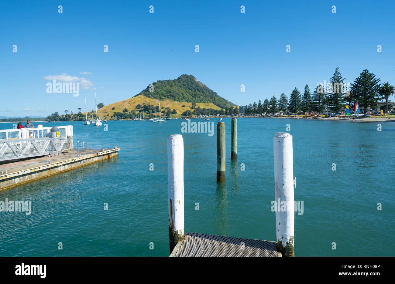 Pilot bay new zealand hi-res stock photography and images - Alamy