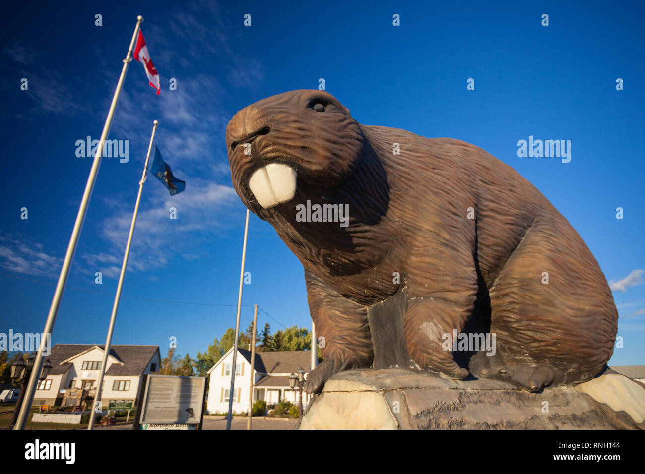 Beaverlodge, Peace Region, Alberta, Canada Stock Photo - Alamy