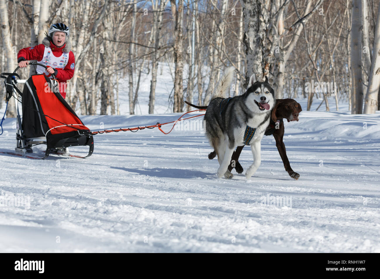 Metis People High Resolution Stock Photography and Images - Alamy