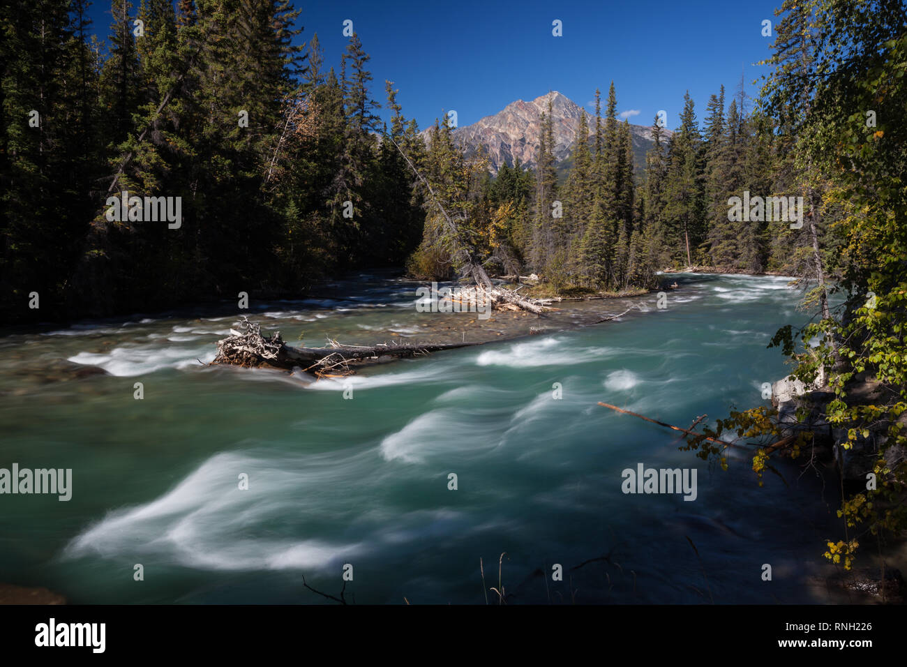 Maligne River Tail, Jasper National Park, Alberta, Canada Stock Photo ...