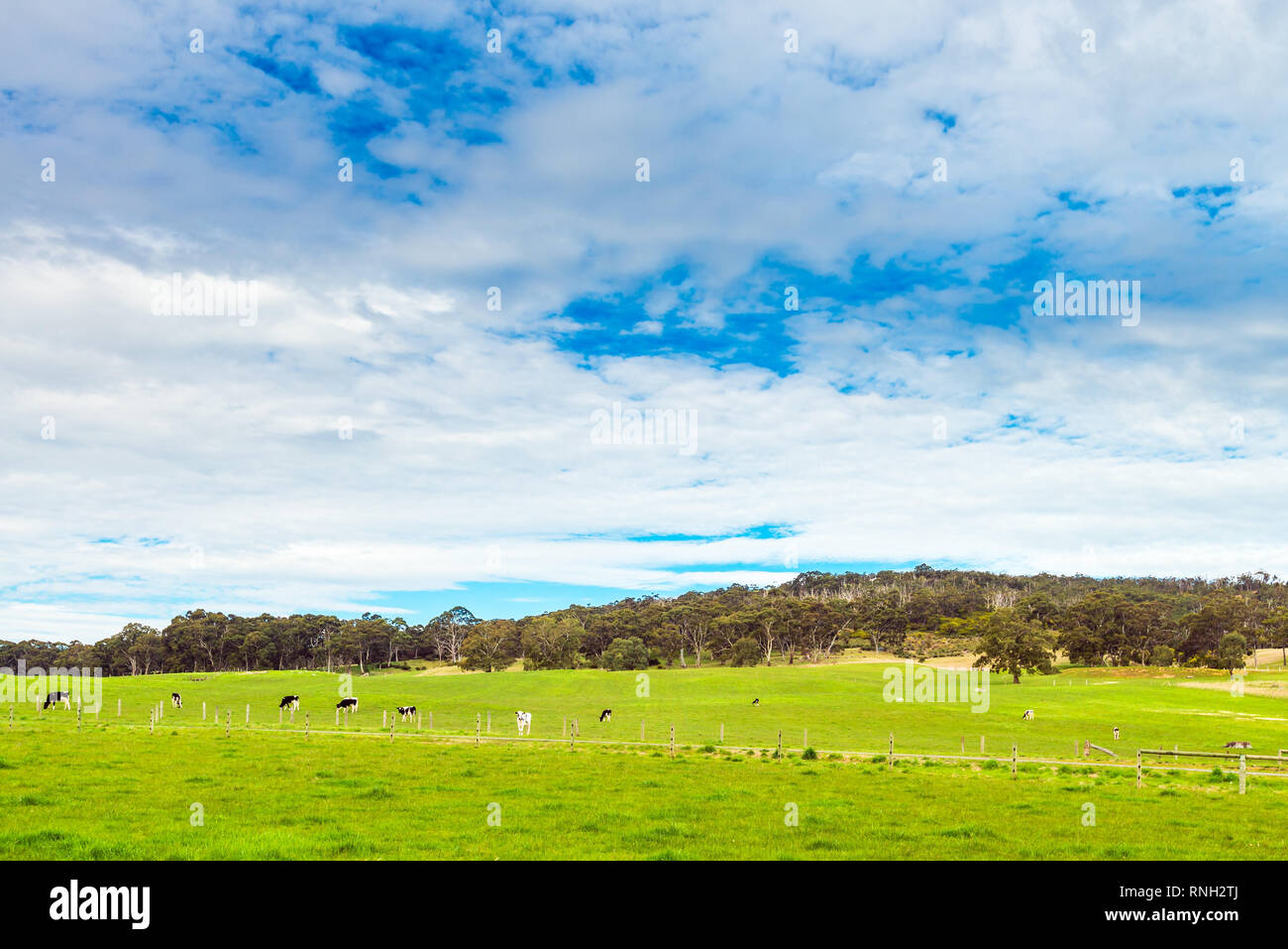 Adelaide Hills Farm High Resolution Stock Photography and Images - Alamy