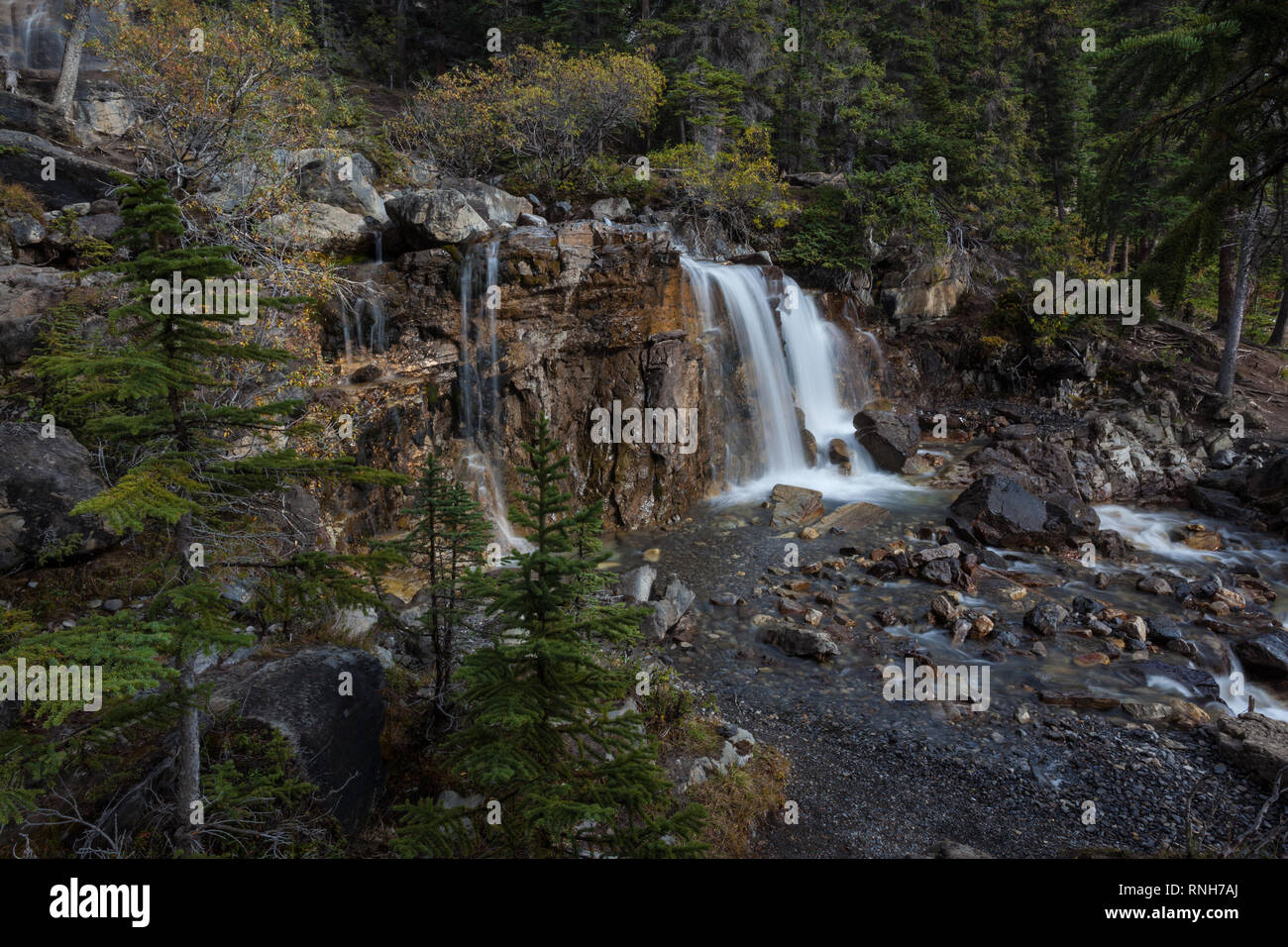 Tangle Falls, Jasper National Park, Alberta, Canada Stock Photo - Alamy