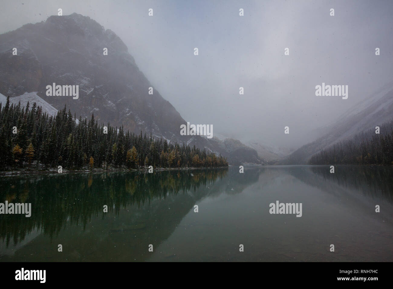 Taylor Lake, Banff National Park, Alberta, Canada Stock Photo - Alamy