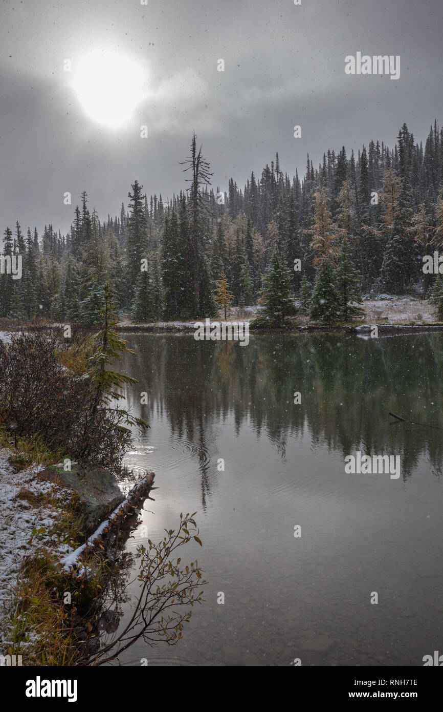 Taylor Lake, Banff National Park, Alberta, Canada Stock Photo - Alamy