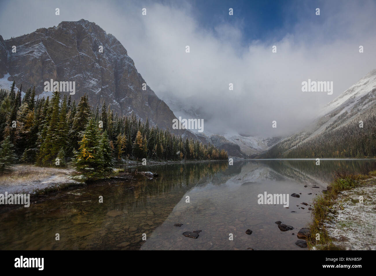 Taylor Lake, Banff National Park, Alberta, Canada Stock Photo - Alamy