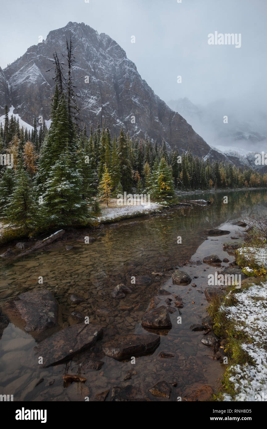 Taylor Lake, Banff National Park, Alberta, Canada Stock Photo - Alamy
