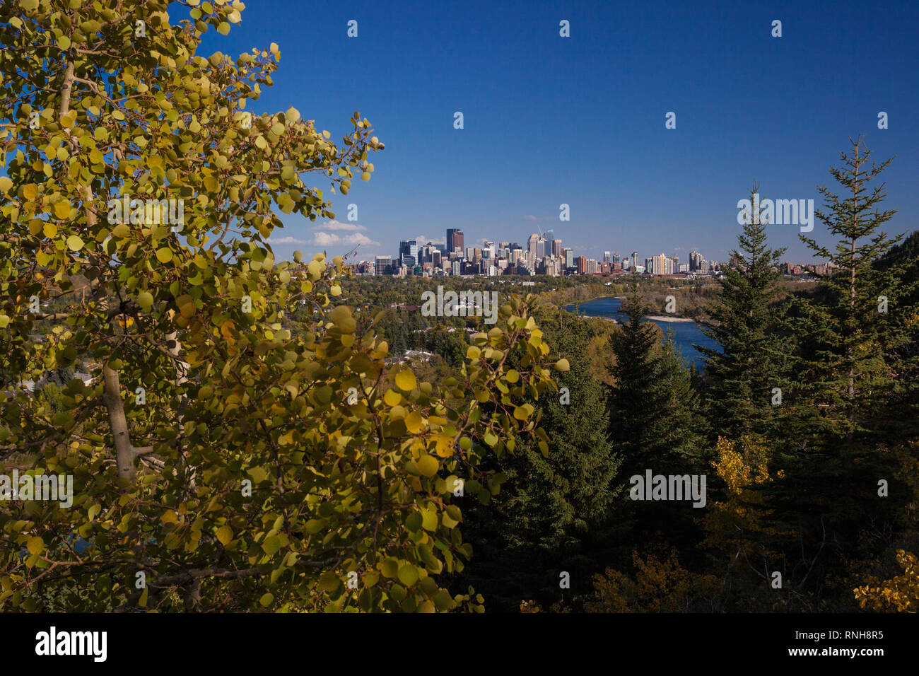 Calgary city park hi-res stock photography and images - Alamy