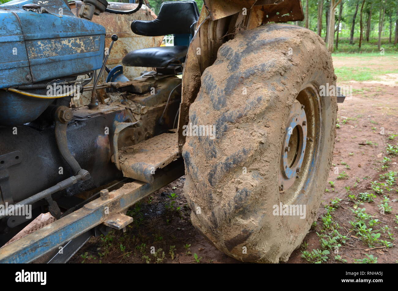 Tractor in a field, agricultural scene Stock Photo - Alamy