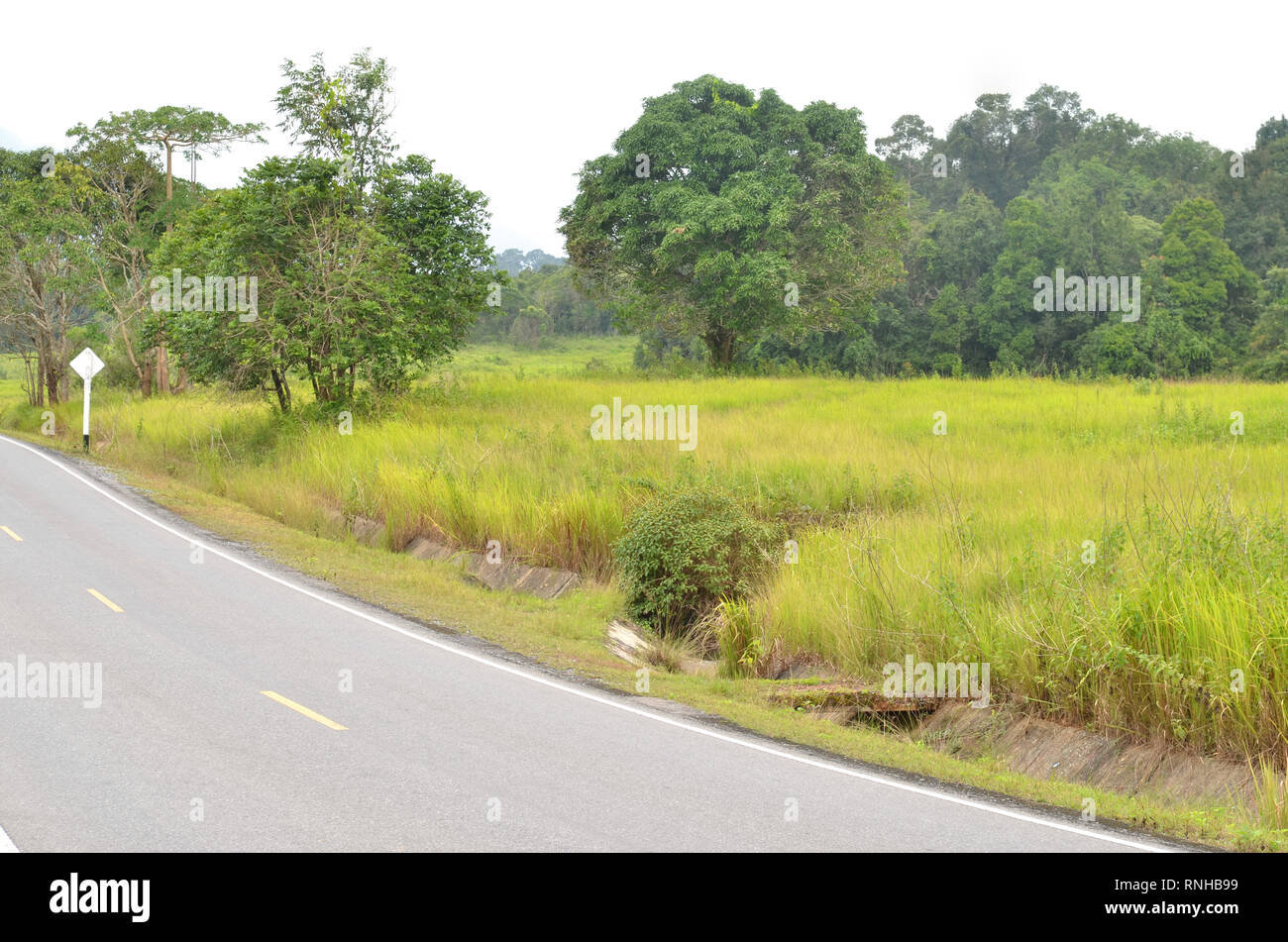 perfect road in landscape with fields, trees Stock Photo - Alamy