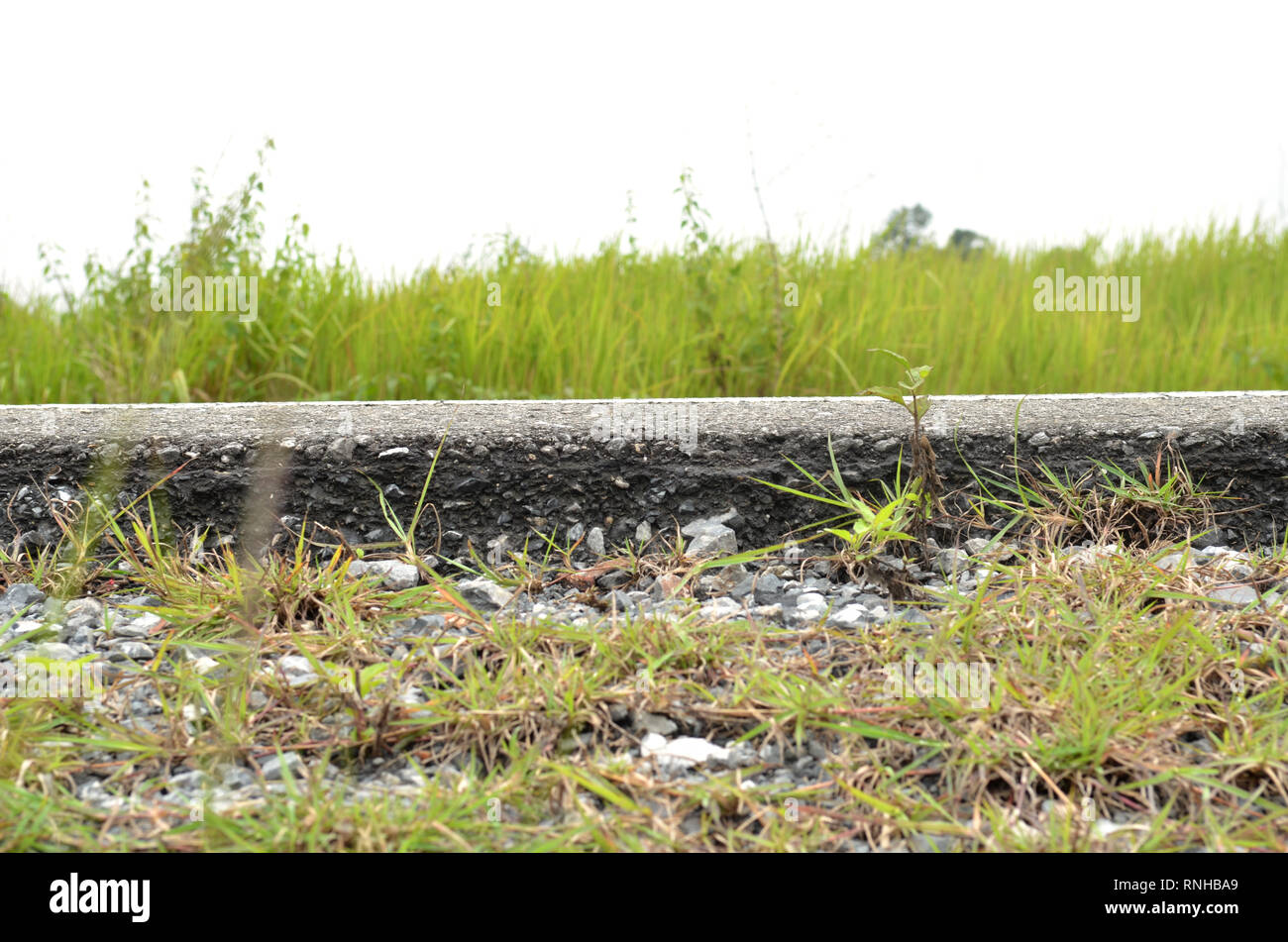 Section of asphalt road in a rural area Stock Photo - Alamy