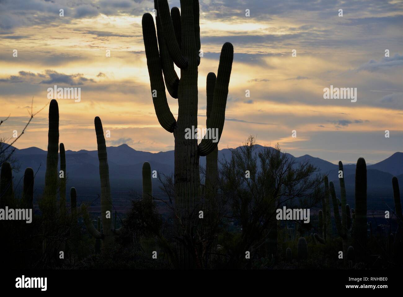 Places to visit in tucson hi-res stock photography and images - Alamy
