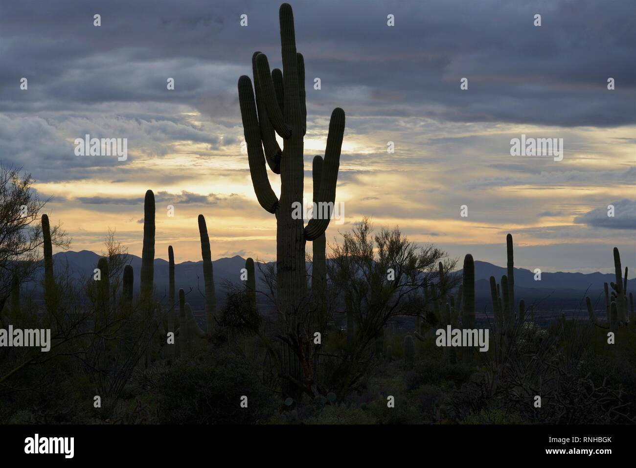 Places to visit in tucson hi-res stock photography and images - Alamy