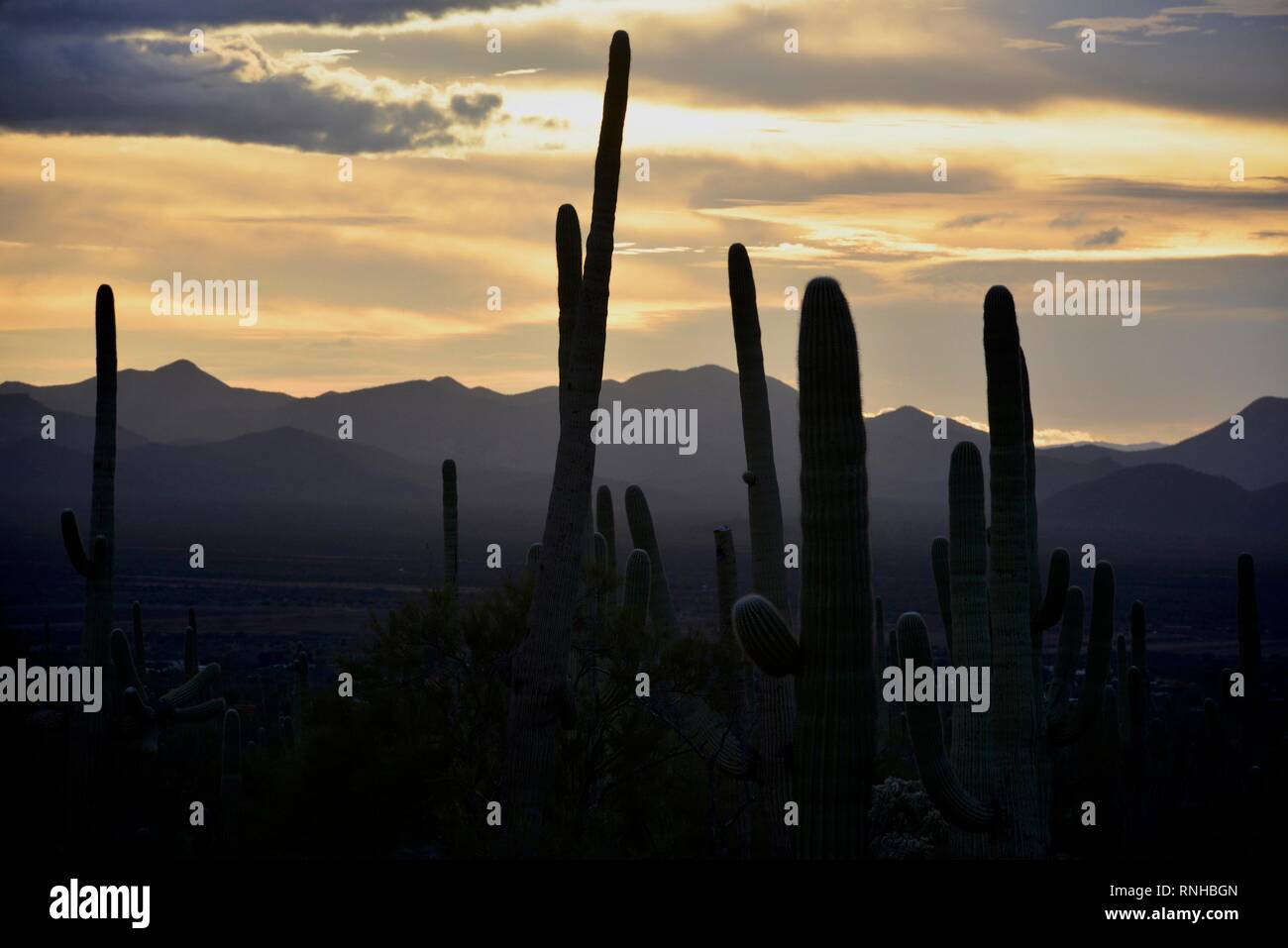 Places to visit in tucson hi-res stock photography and images - Alamy