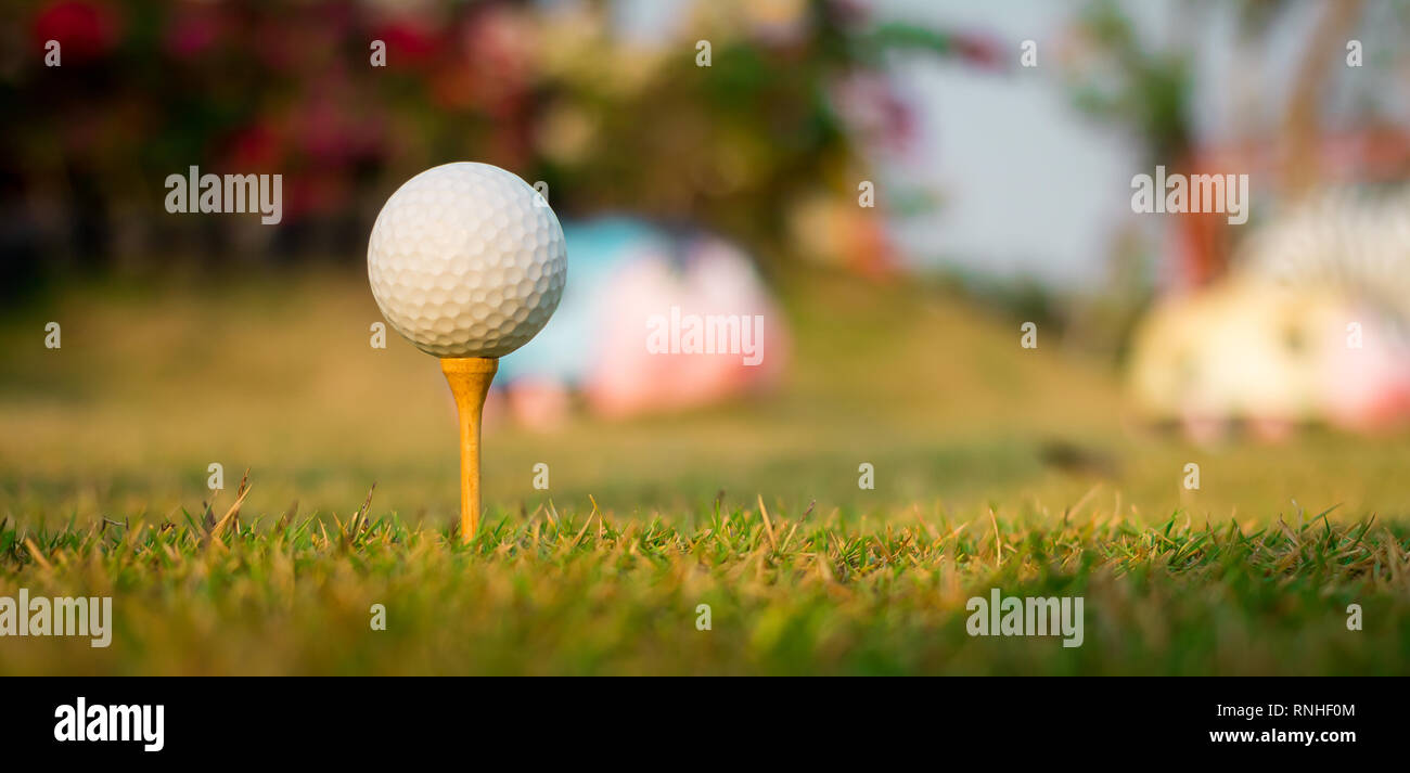 Golf ball on tee Stock Photo - Alamy