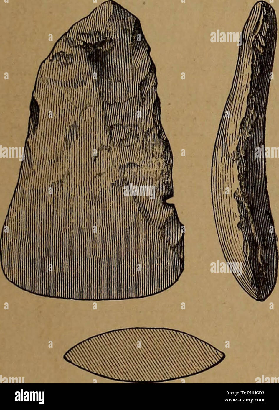 "The ancient stone implements, weapons, and ornaments, of Great Britain ...