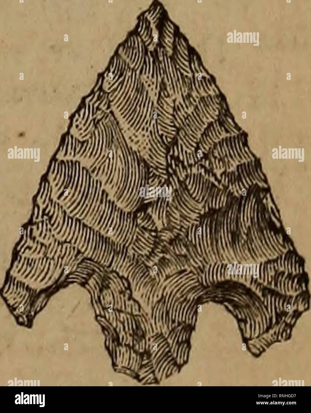 "The ancient stone implements, weapons, and ornaments, of Great Britain ...