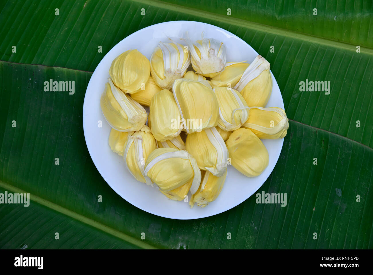 Jackfruit varieties hi-res stock photography and images - Alamy