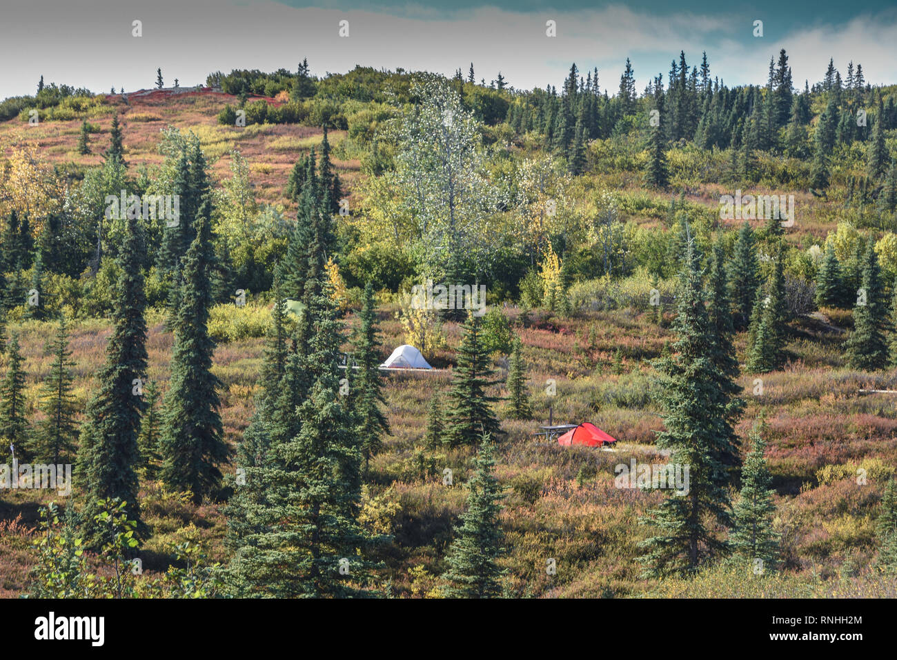 Fee Campground High Resolution Stock Photography and Images - Alamy