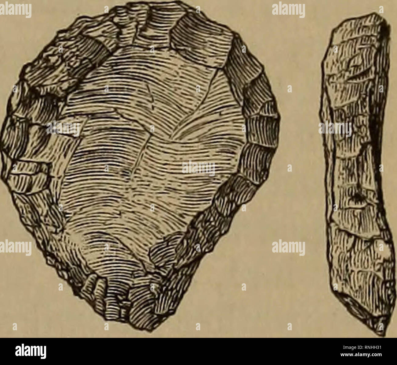 "The ancient stone implements, weapons, and ornaments, of Great Britain ...