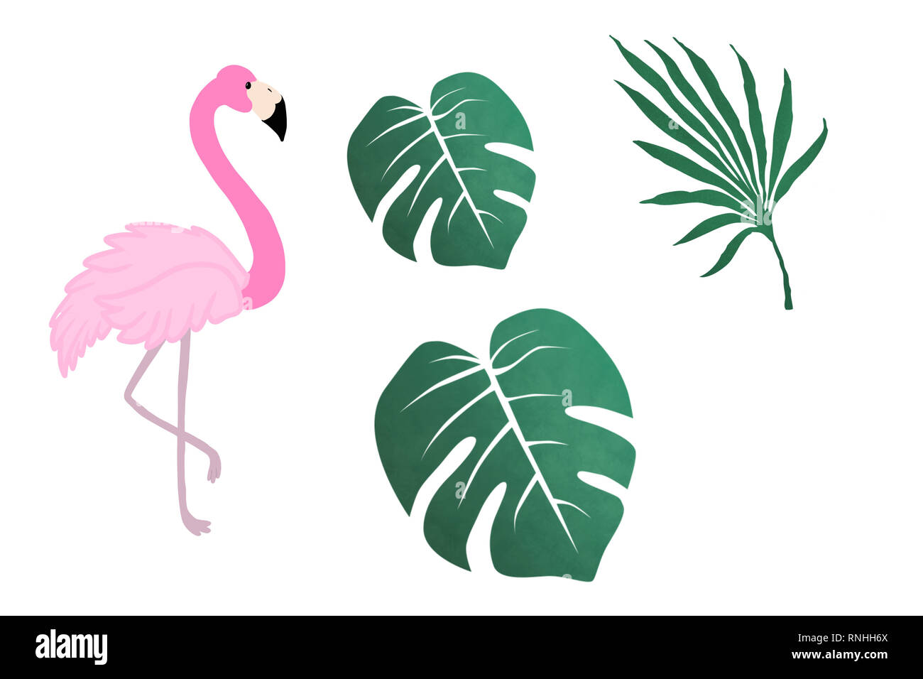 Pink flamingo and tropical leaves isolated on white, hand drawn ...