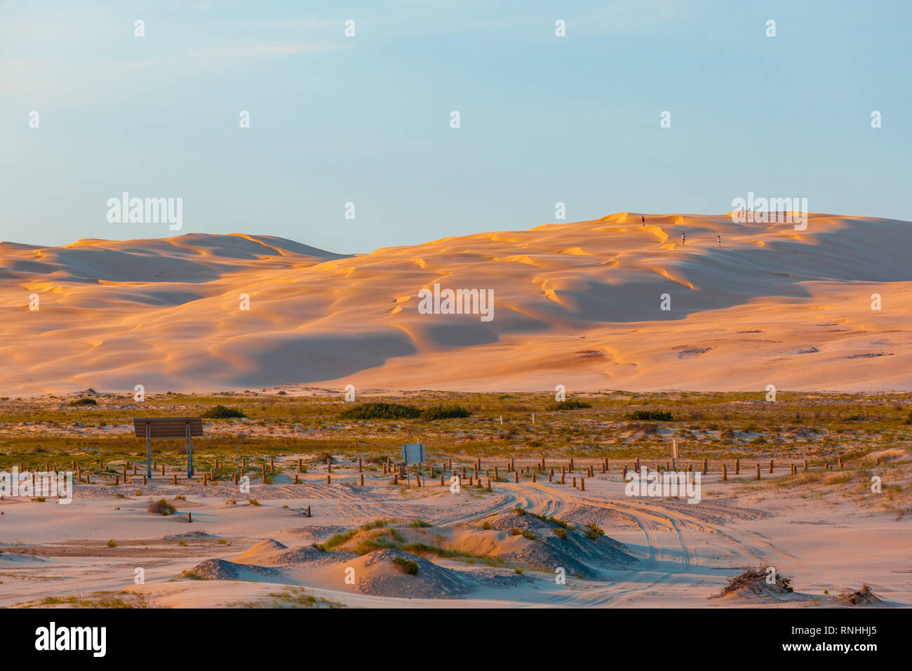 White sand dunes at sunset. Anna Bay, New South Wales, Australia Stock ...