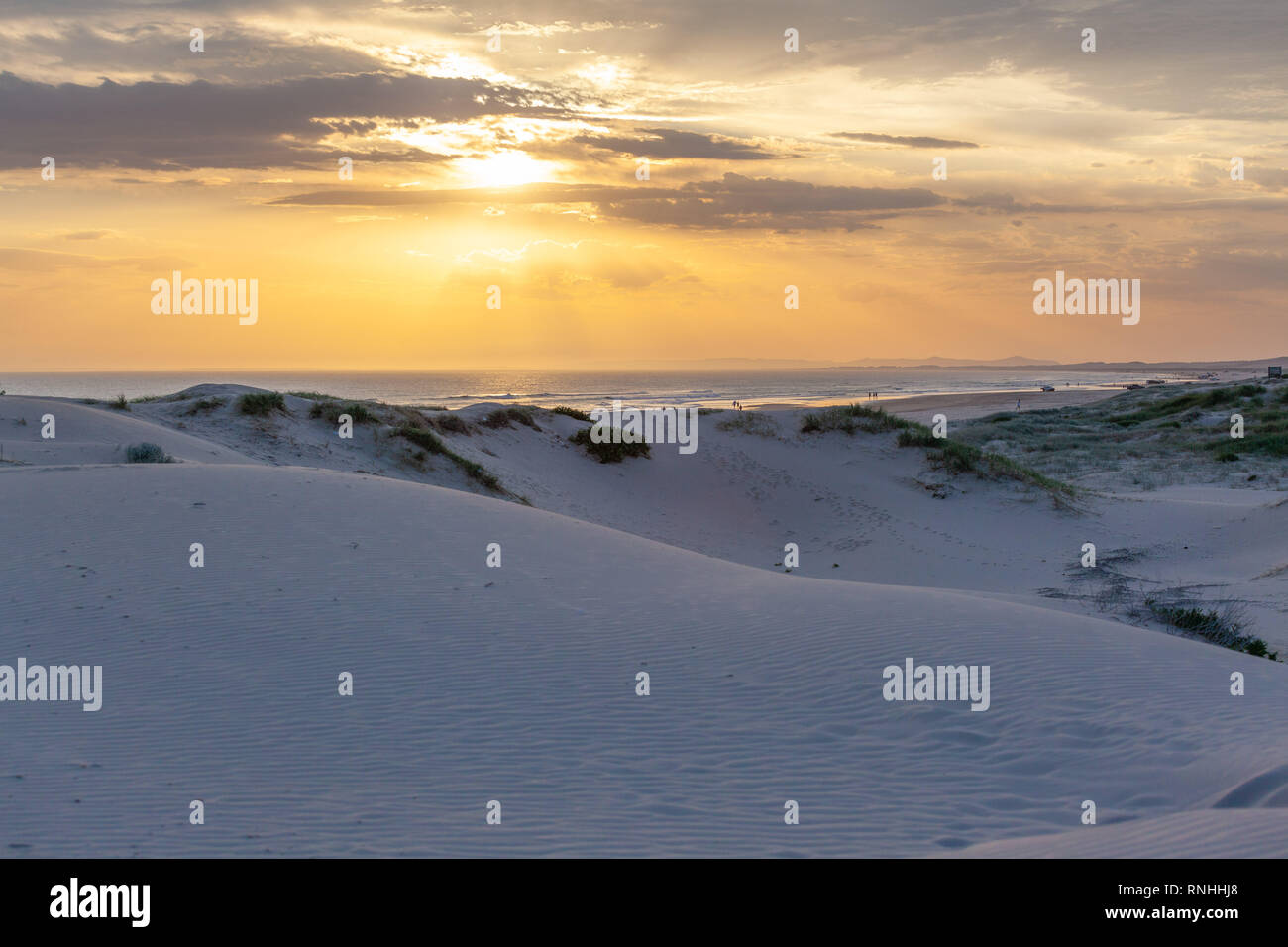 White sand dunes of Birubi beach at sunset. Anna Bay, New South Wales ...