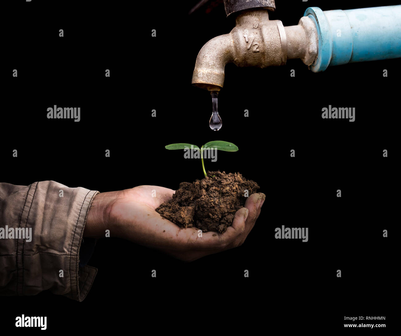 Hands cupping water hi-res stock photography and images - Alamy