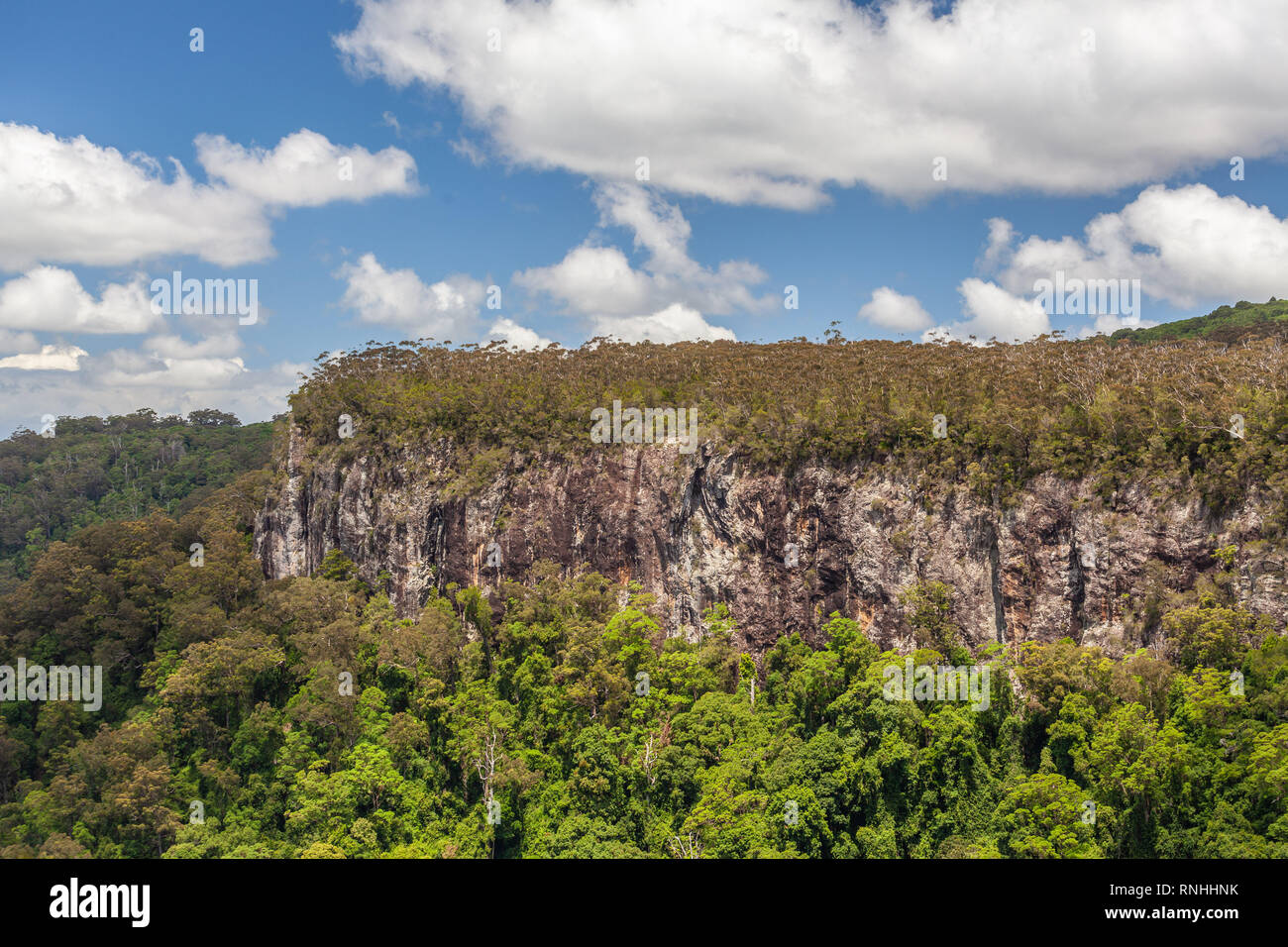 Green forested cliff in Springbrook National Park in Queensland ...