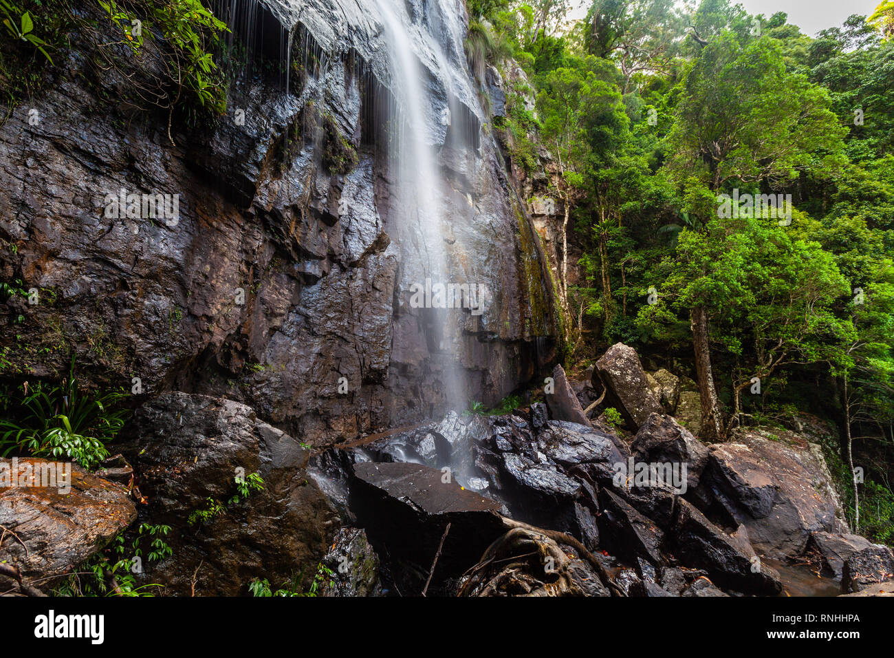 Wet rocks and waterfall in lush green vegetation of temperate ...