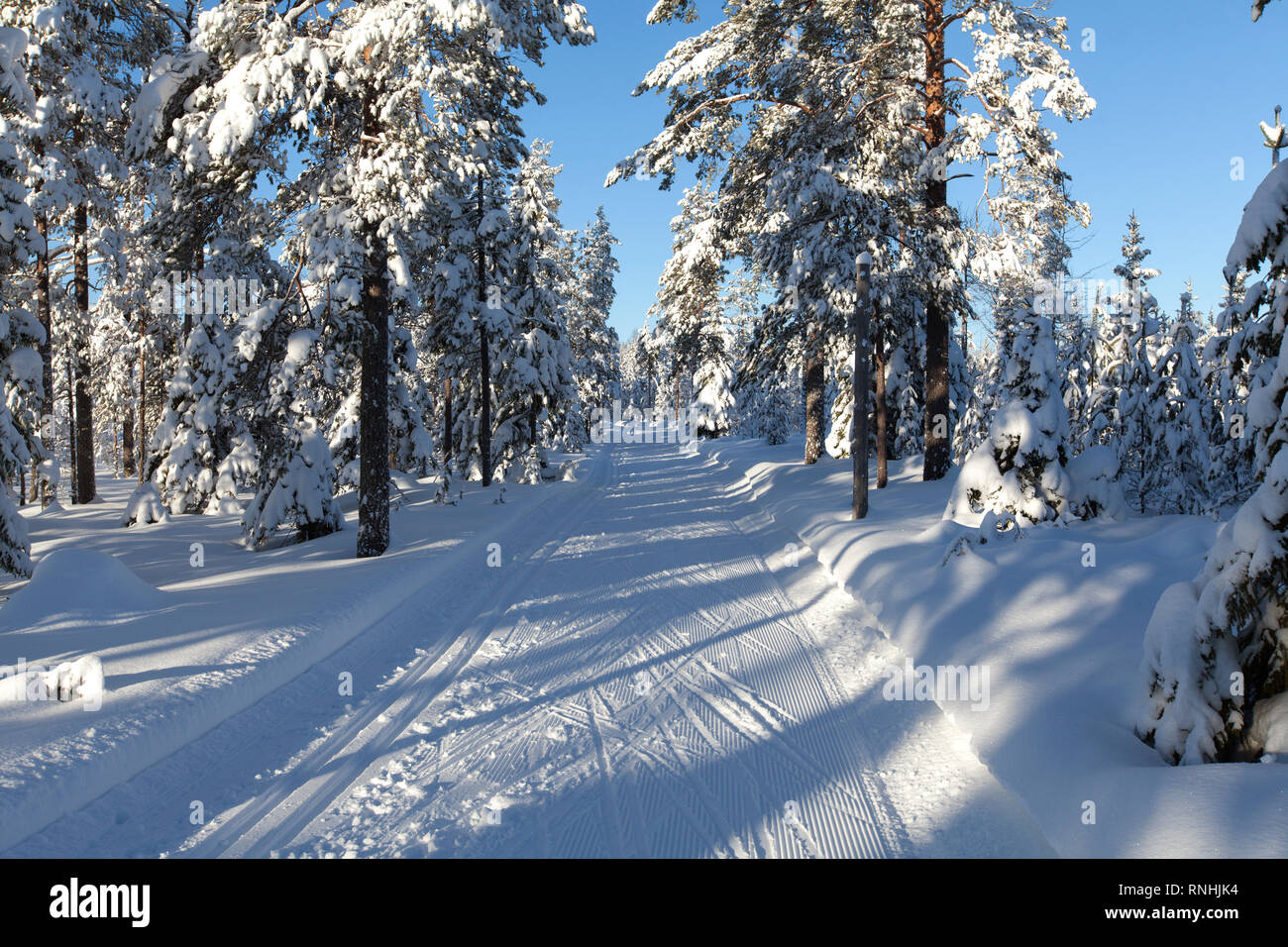 View on Cross-country, classic and skate skiing tracks in a snowy ...