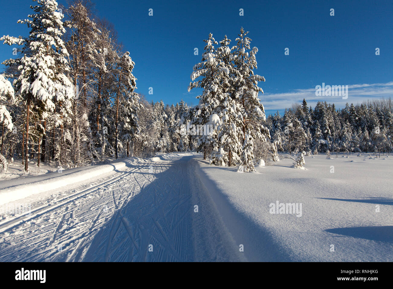 View on Cross-country, classic and skate skiing tracks in a snowy ...