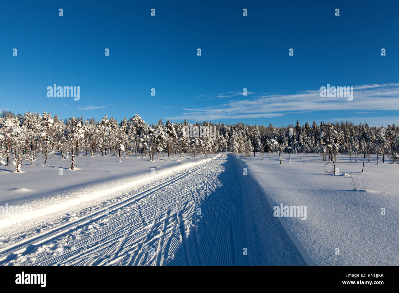 View on Cross-country, classic and skate skiing tracks in a snowy ...