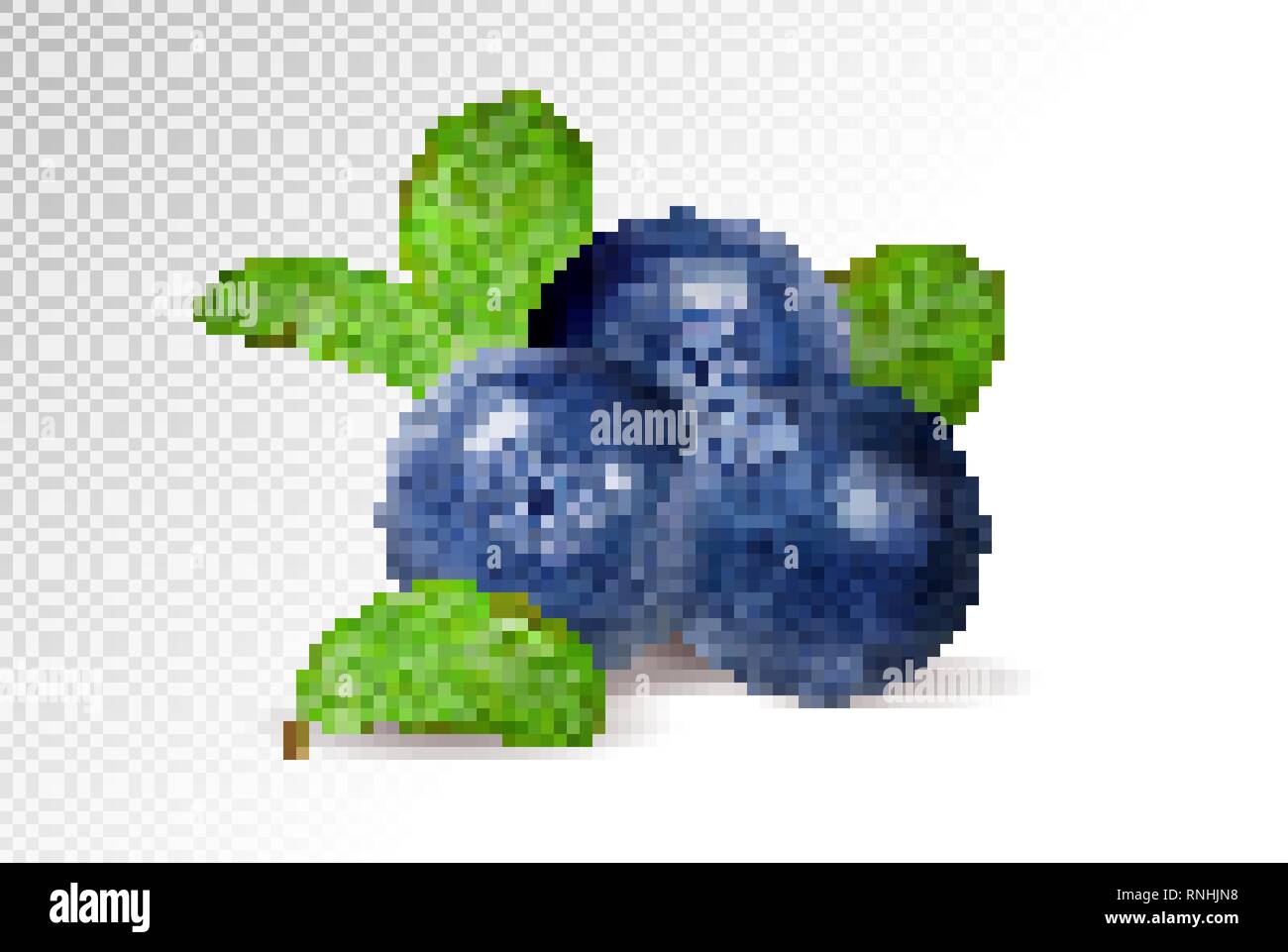Blueberries on transparent background. Quality realistic vector, 3d ...