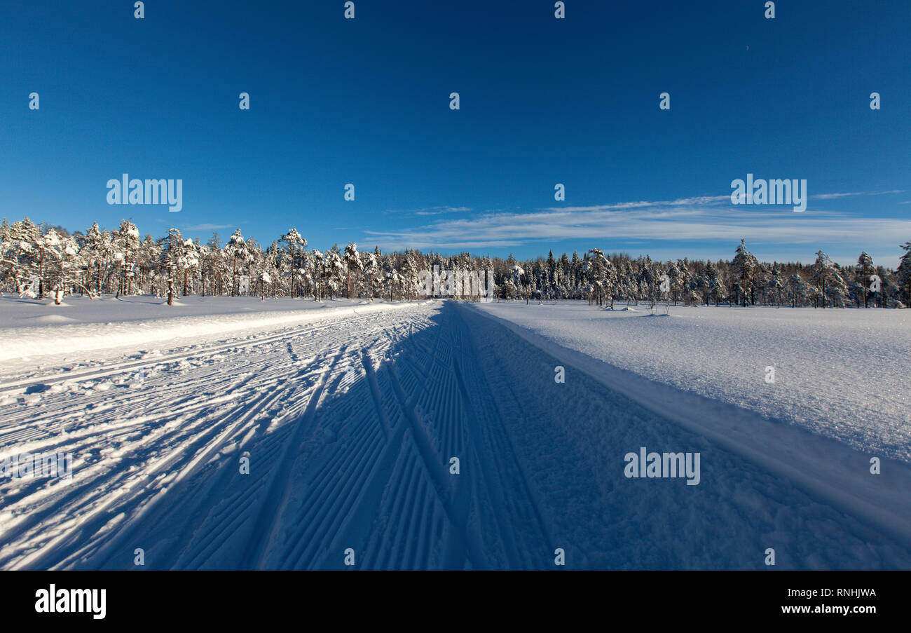View on Cross-country, classic and skate skiing tracks in a snowy ...