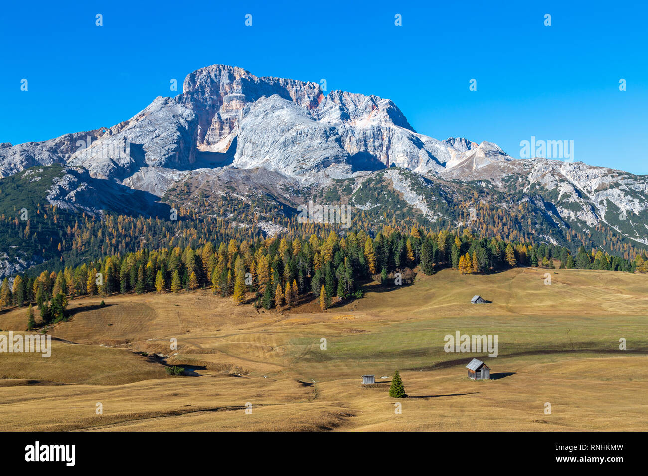 Croda rossa hi-res stock photography and images - Alamy
