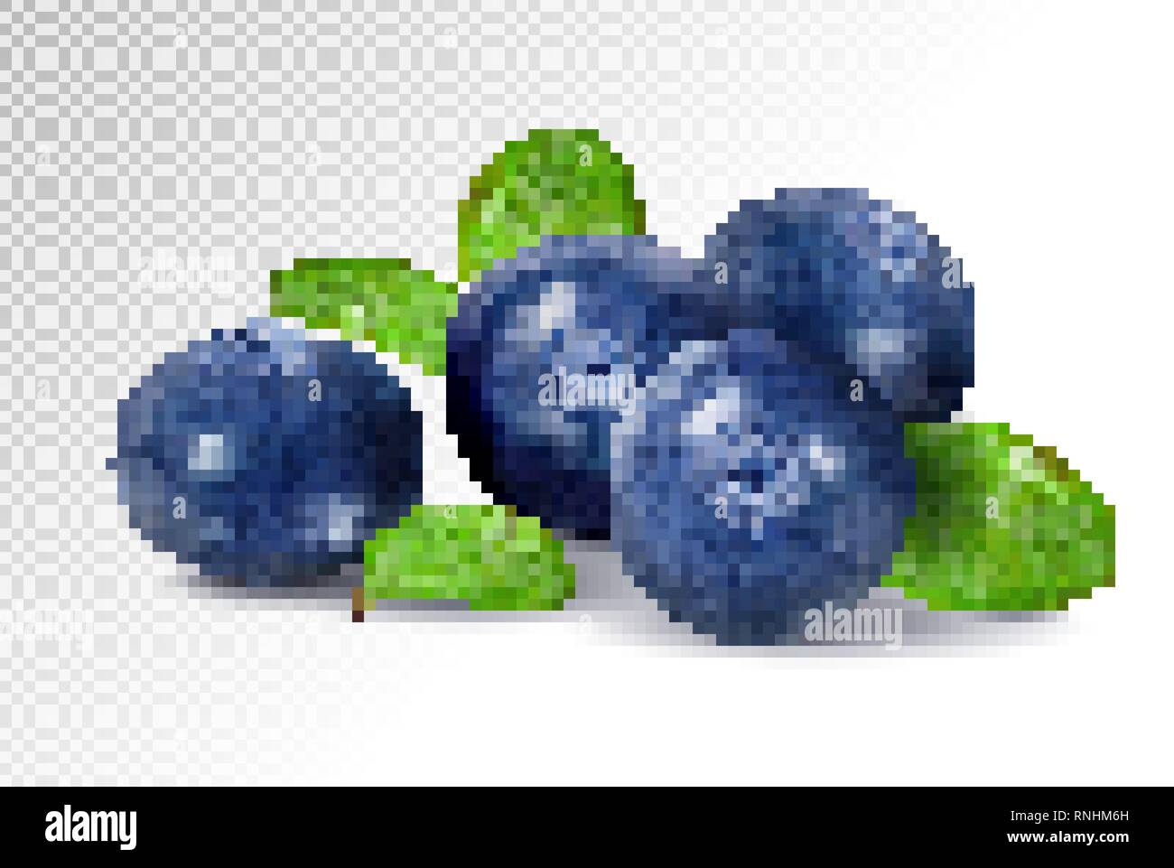 Blueberries isolated on white background. Quality realistic vector, 3d ...