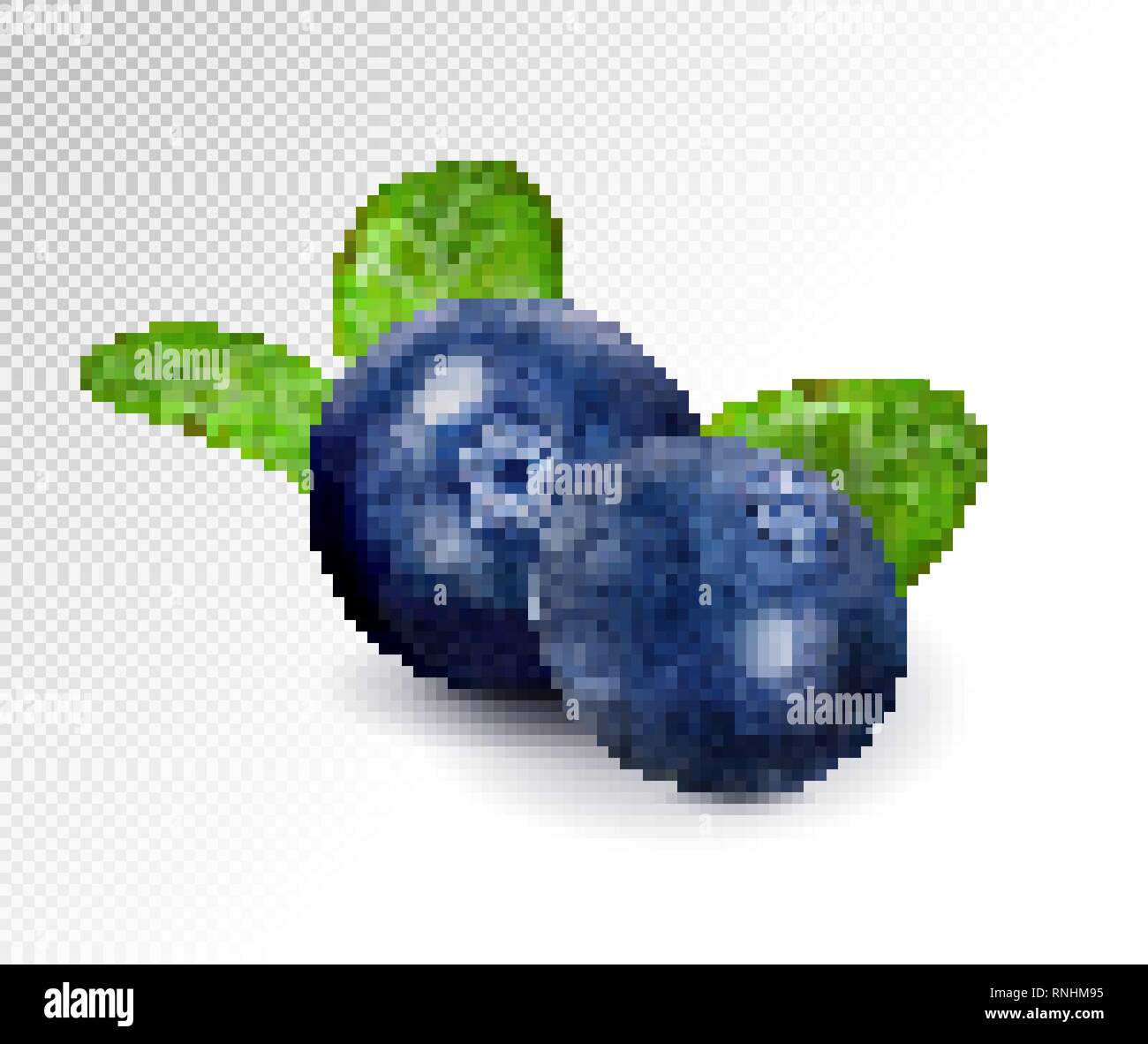 Blueberries isolated on white background. Quality realistic vector, 3d ...