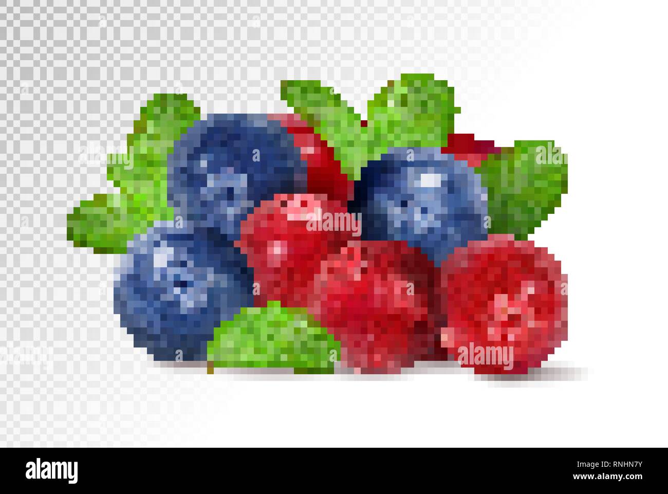 Isolated berries. Pile of fresh cranberry and blueberry fruits isolated ...
