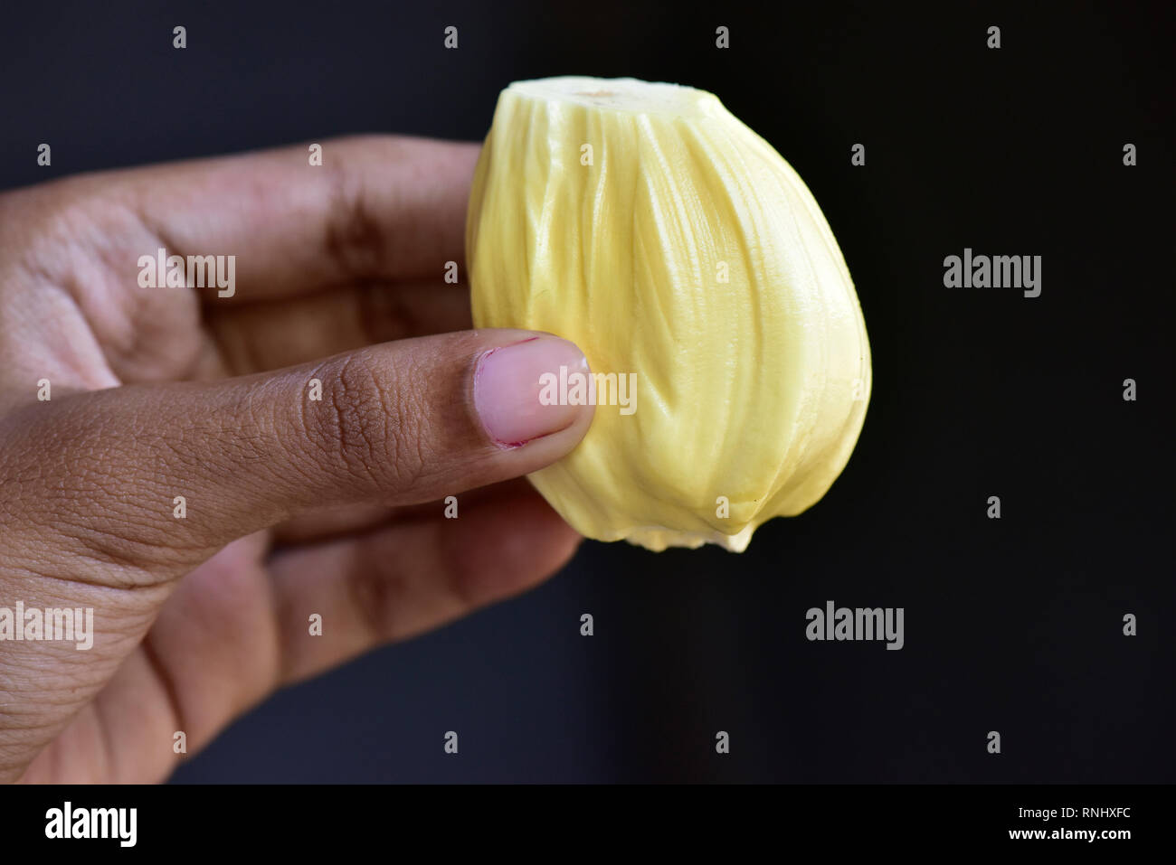Jackfruit varieties hi-res stock photography and images - Alamy
