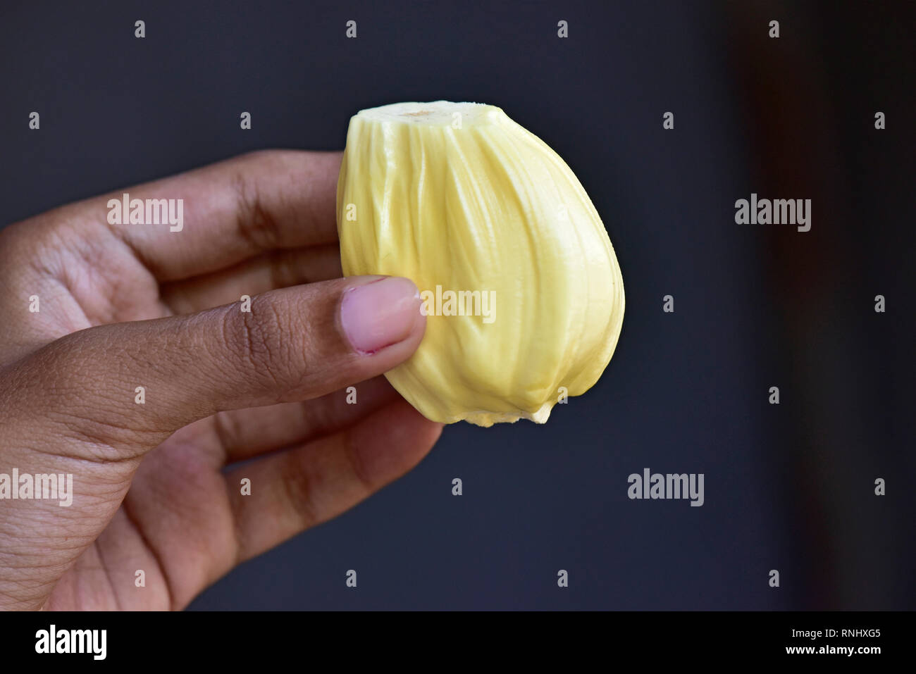Jackfruit varieties hi-res stock photography and images - Alamy