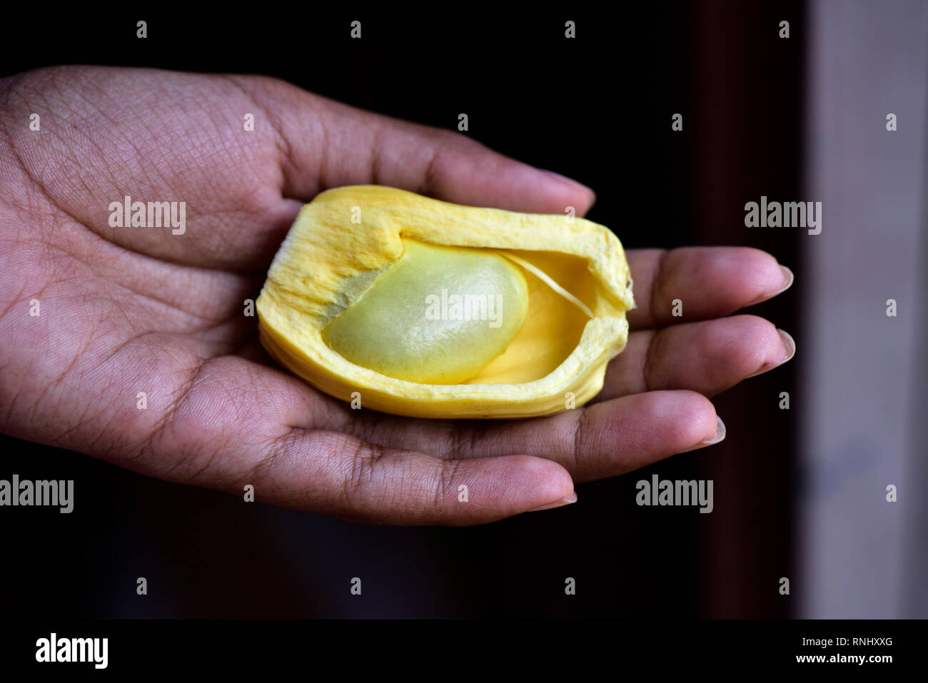 Jackfruit varieties hi-res stock photography and images - Alamy
