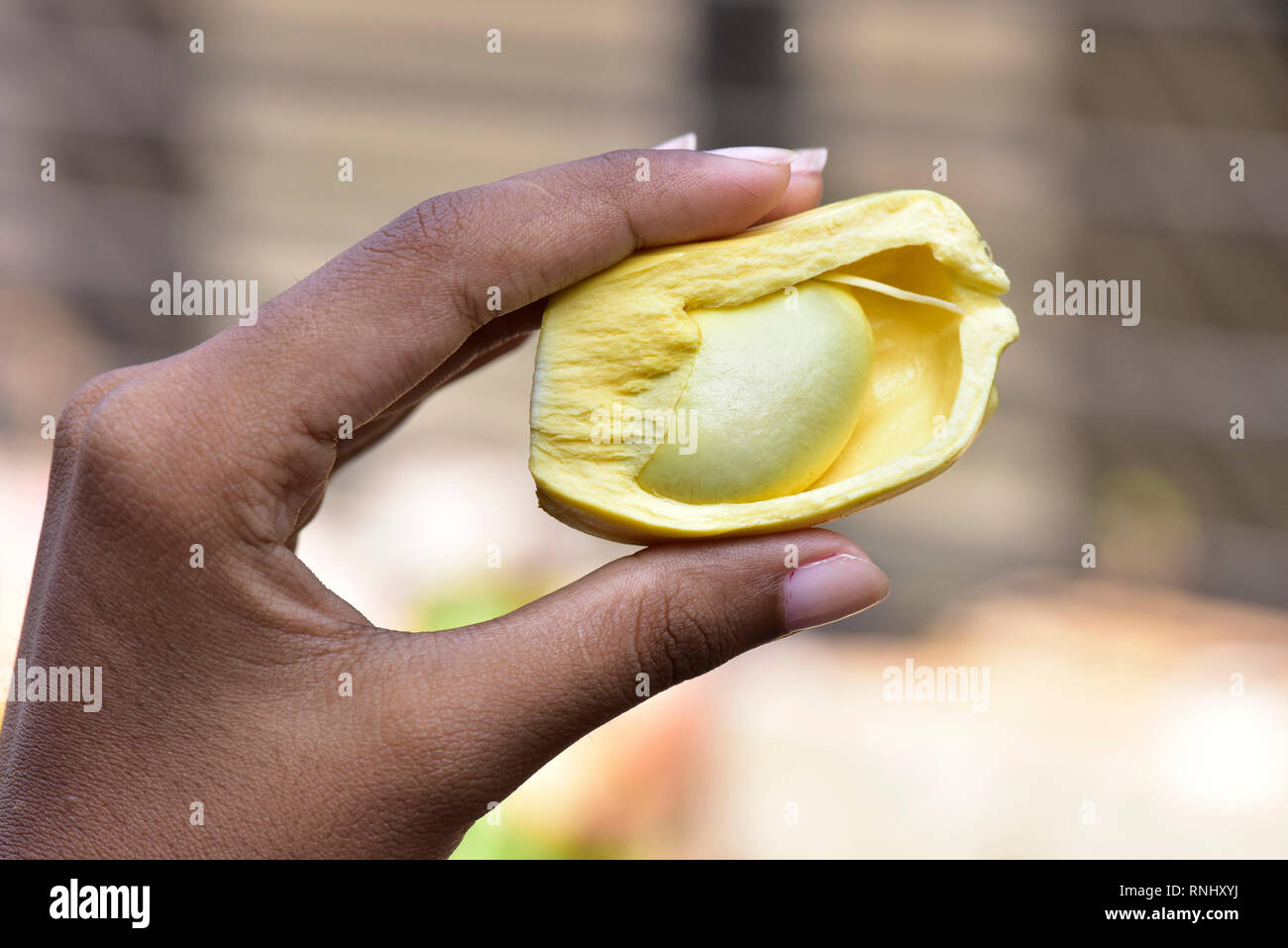 Jackfruit varieties hi-res stock photography and images - Alamy