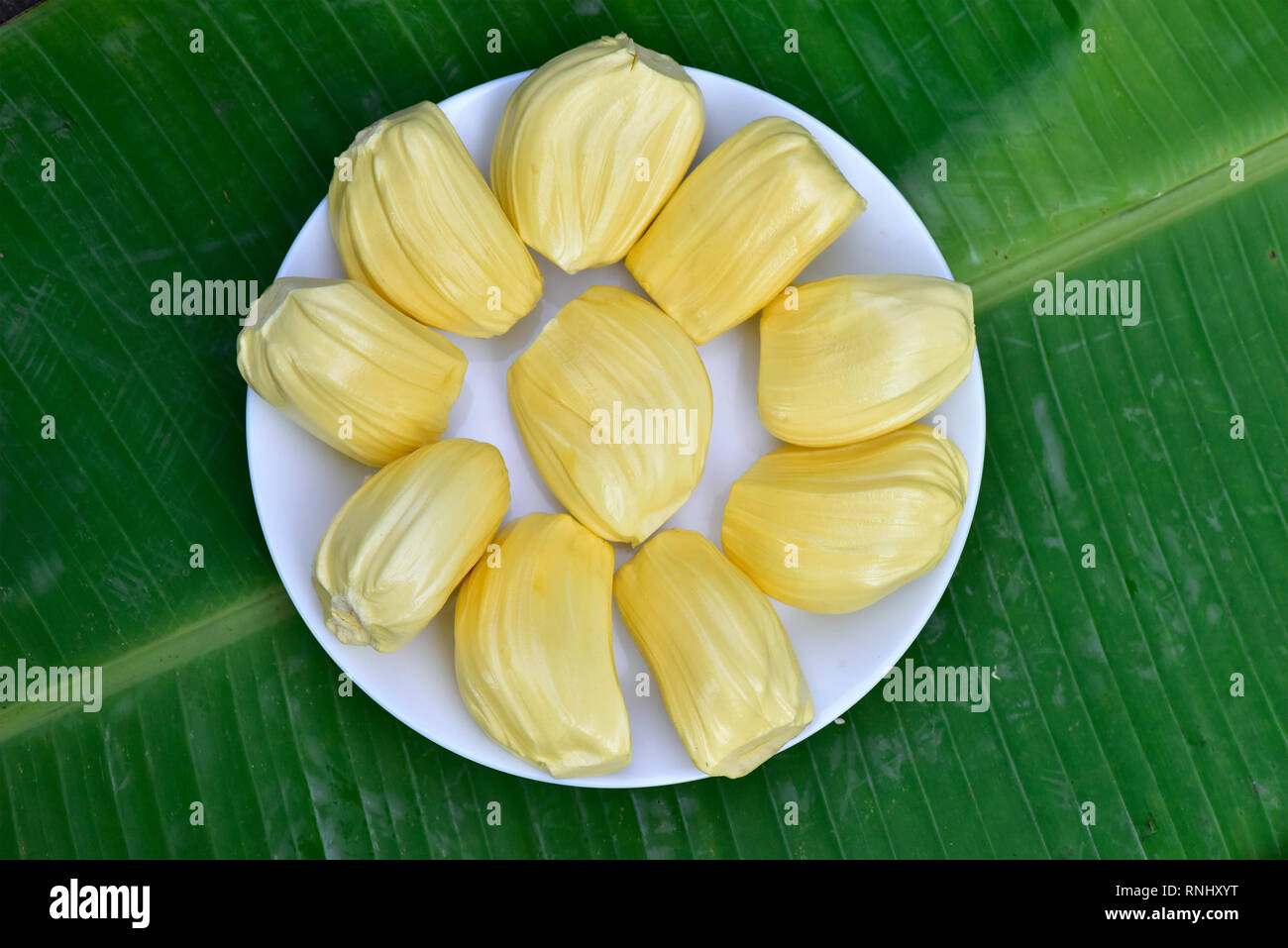 Jackfruit chips hi-res stock photography and images - Alamy